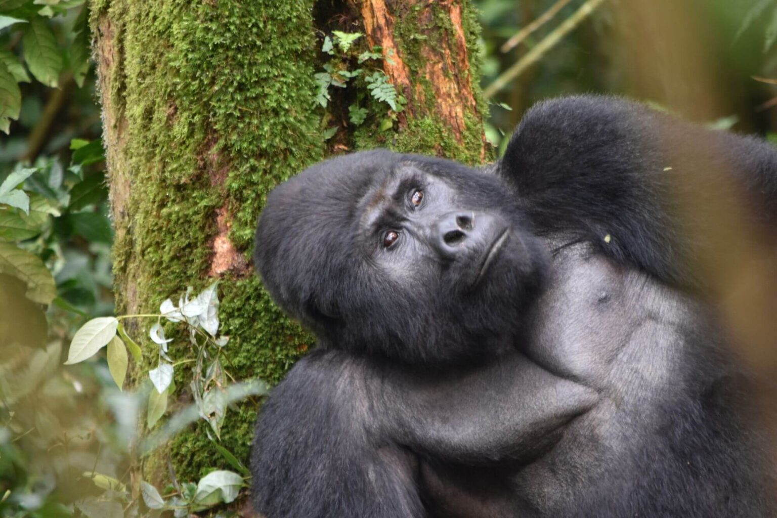 Pogoda Maroko Grudzień – Idealny Czas na Podróż